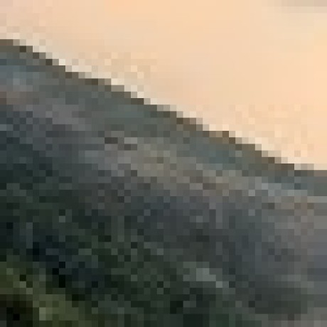 Ishikaacharya Github