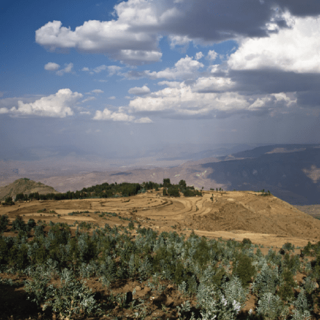 Tenacity Worldwide Github