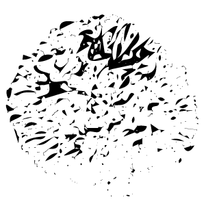 Lichen Community Systems Github