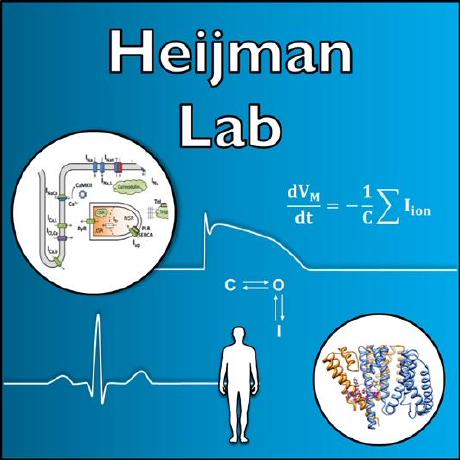 Heijmanlab Github