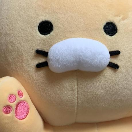 Na Anna 나유진 Github