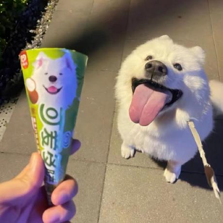 Yadanang Printfln Hello Ljiny Github