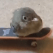 Chelviso Github - Mobile Light Arts for Desktop