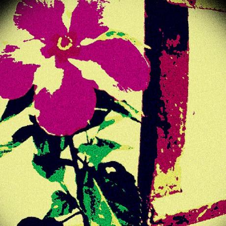 Vardinava Vardina Nava Github