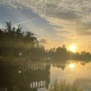 Engrfidel Fidel Higdon Github