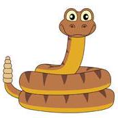 Fv Rattlesnake Team Github