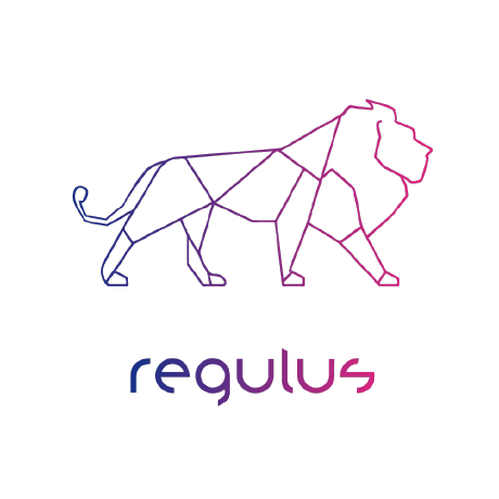 Regulus Advanced Systems Github - Premium Space Background Gallery - Desktop