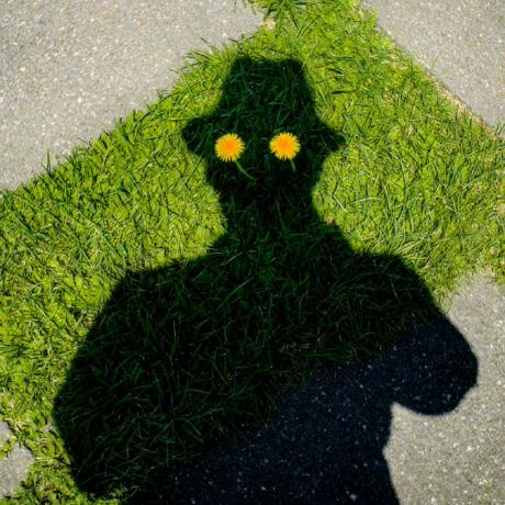 Code Arnab Arnab Munshi Github