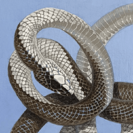 Boa Byte Margaret Pütsepp Github