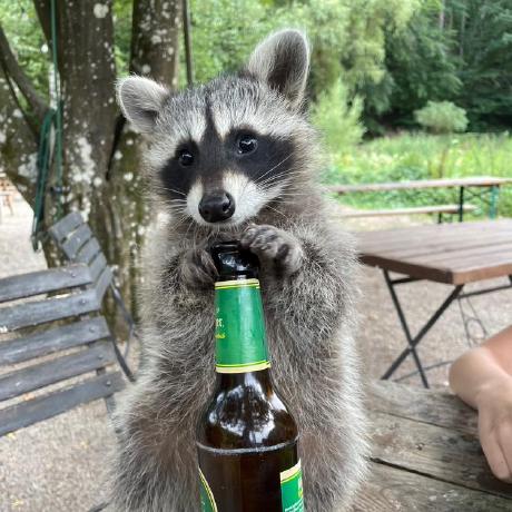 Firefly3390 Philipp Github