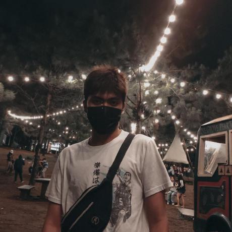 Kylemastercoder14 Kyle Andre David Lim Github