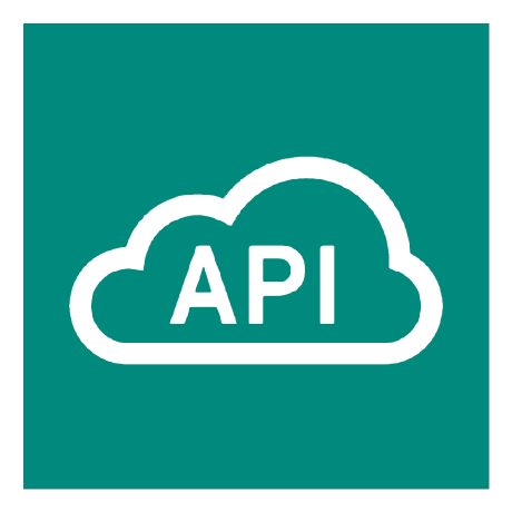 Api Developer Programme Github