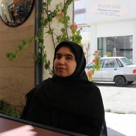 Maryam Abdi Maryamabdi Ir Github