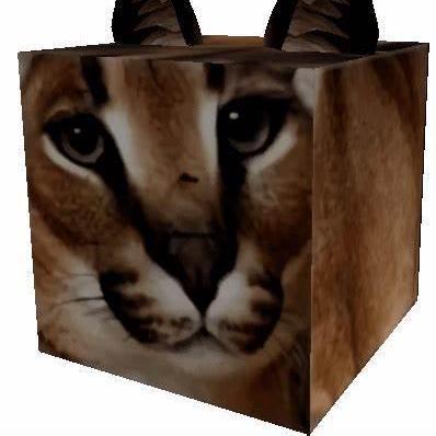 Brunowagler Bruno Wagler Cruz Padilha Github