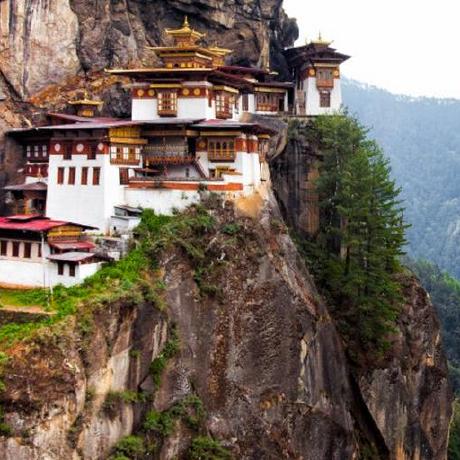 Geraldgoldstein Jeffrey Goldstein Github