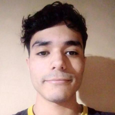 Joaquin Espinosa733 Joaquin Espinosa Github