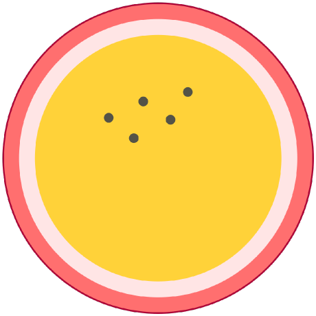 Passion Fruit Github