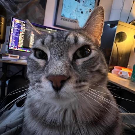 Adelinv2 Adelin Github