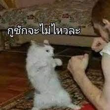 Thanawat361 Thanawat Github