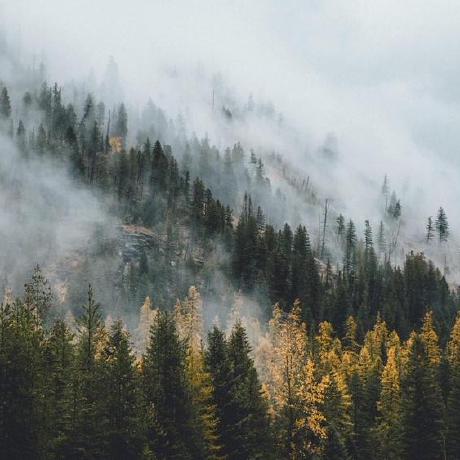 Cass I Dy Github - Download Ultra HD Colorful Photo | Mobile