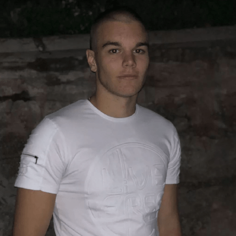 Petar30 Petar Terzic Github