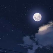 Alika Joana Mirow Amalia Wijonarko Github