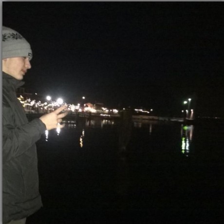 Mich 1997 Michele Natale Github