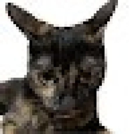 Yaya0210 Yaya Github