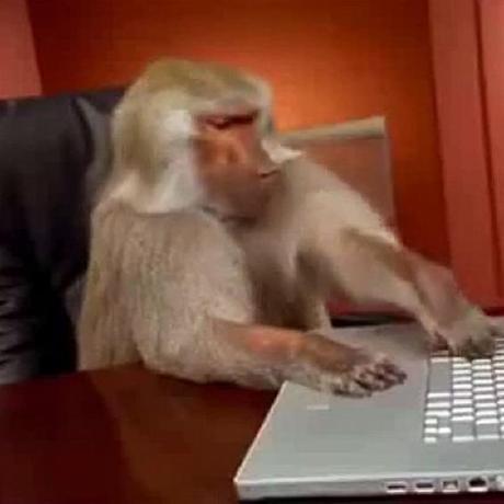 Crunchylol Crunchy Github - Gorgeous 8K Light Backgrounds | Free Download