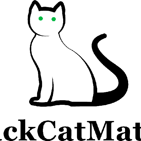 Blackcatmatters Github