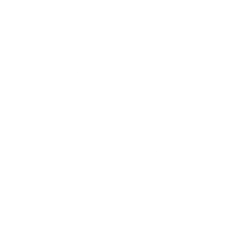 Reality Foundation Github