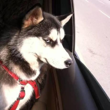 Github Prenard Cristal - Download Artistic Geometric Design | Desktop