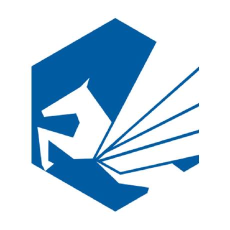 Pegasus Software Tests Github