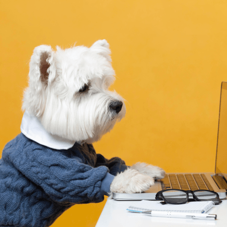 Coditum Gabes Github