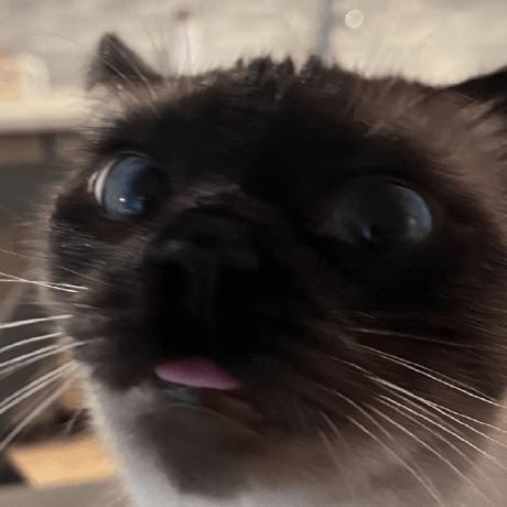 K Ketchup K Ketchup Github