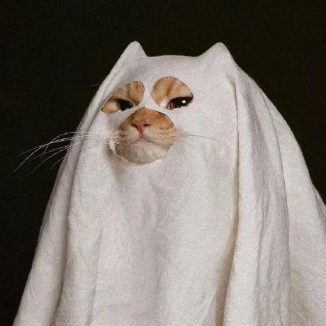 Itsmecamila Camila Github