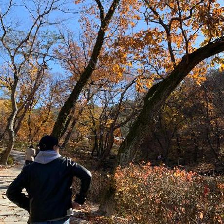 Githubofbrad Brad Github