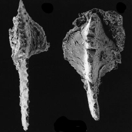 Ej Uchida Koya Uchida Github