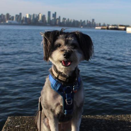 Tilleyd Duncan Tilley Github