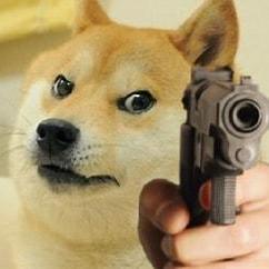 Trungtin2892003 Github