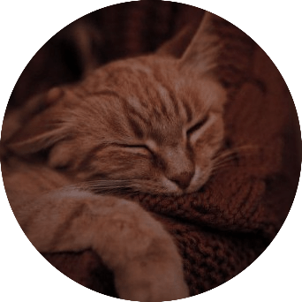 Sleepy White Cat Github - Space Photos - Premium 4K Collection