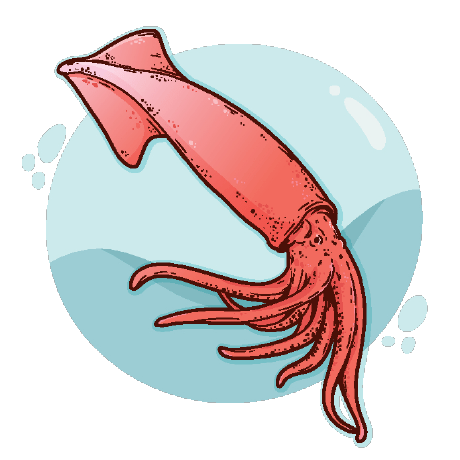 Flowsquid Github