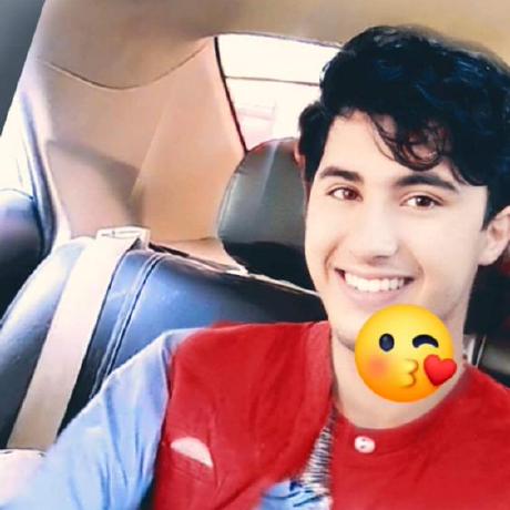 Rayeeshazrat730 Github