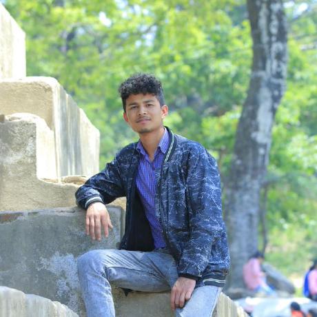 Mirt00 Amrit Github