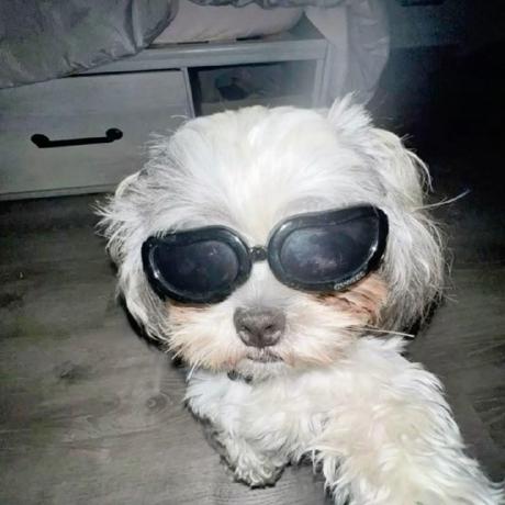 Arvindproject Arvind Adhikari Github - Best Mountain Designs in 8K