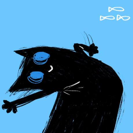 Codecatmeow Codecat Github