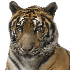 Ft Technology Github