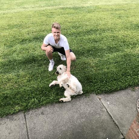 Github Loevlie Gpt4readability A Powerful Tool Designed To - Abstract Illustration Collection - 8K Quality