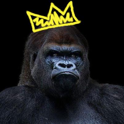 Zerodocs Stack Github