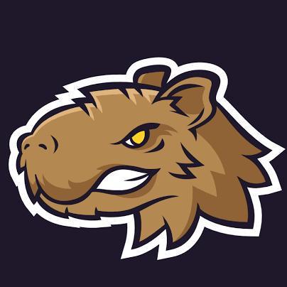 Capivara Solutions Github